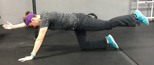 Lower Back and Core Stabilization - UBE Physical Therapy and Performance